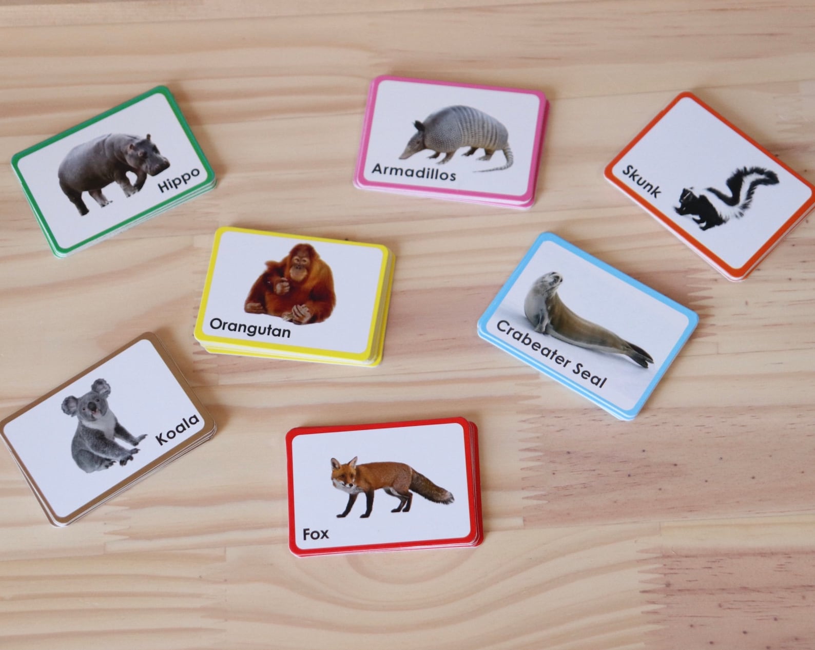 Montessori Animals and Continents Cards/montessori Flash Card/ - Etsy