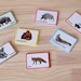 Montessori Animals and Continents Cards/montessori Flash Card/ Animals ...