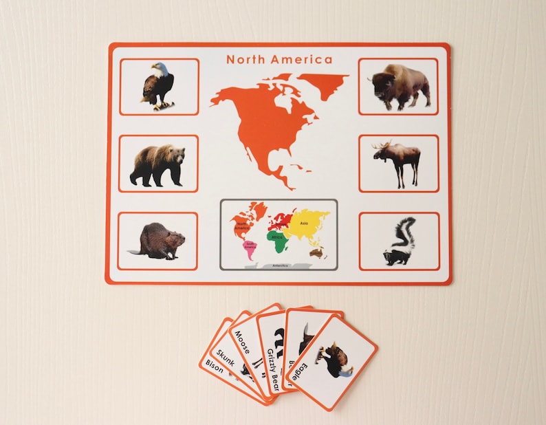 Montessori Animals and Continents Cards/montessori Flash Card/ - Etsy