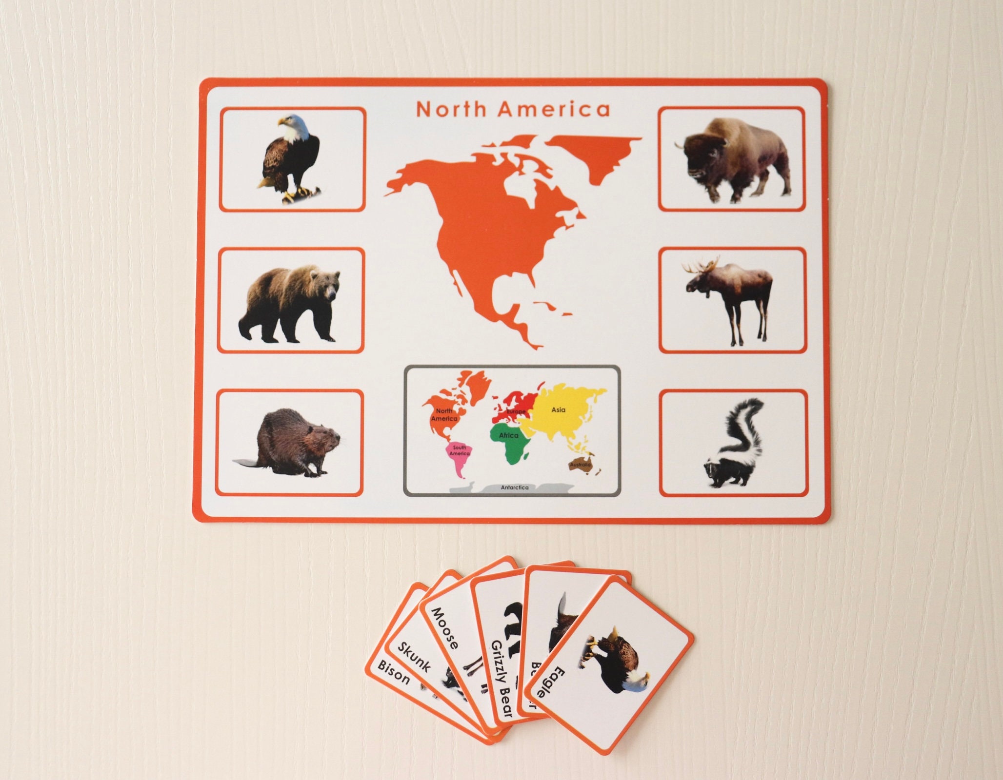 Montessori Animals and Continents Cards/montessori Flash Card/ - Etsy