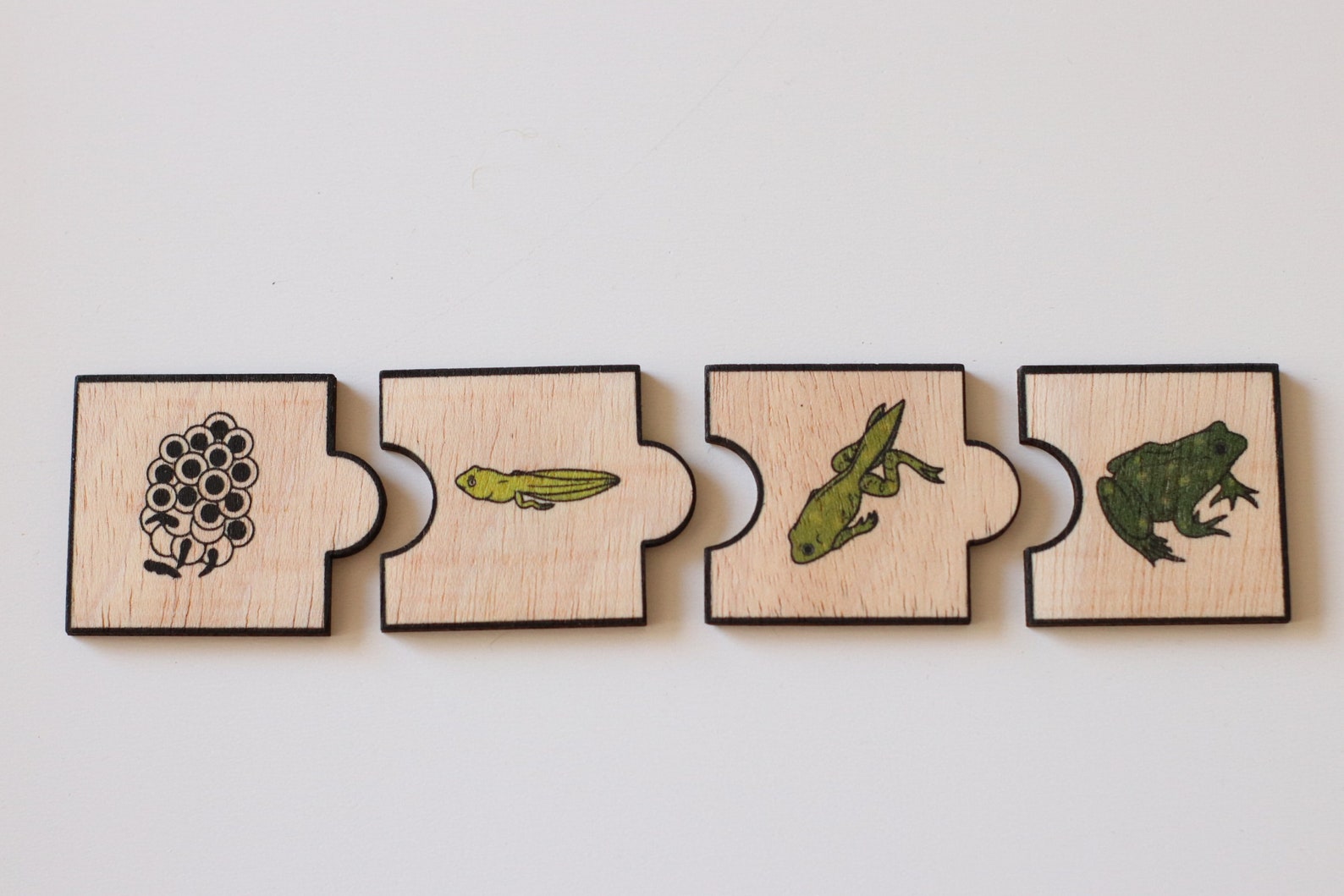 SET of 6 Wooden Life Cycle Puzzles - Etsy