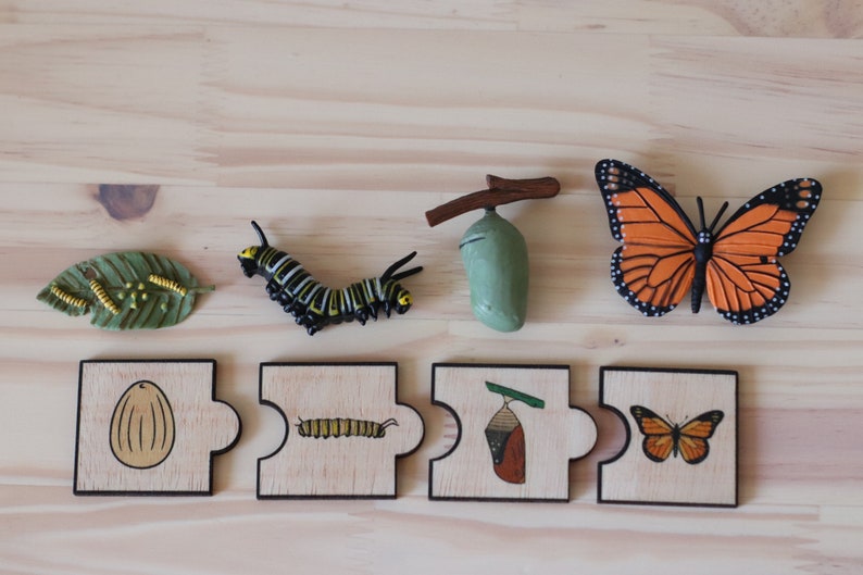 SET of 6 Wooden Life Cycle Puzzles - Etsy