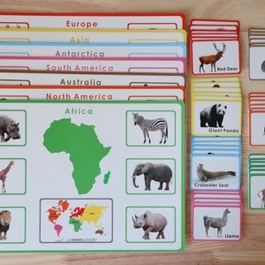 Montessori Animals and Continents Sorting Cards - Etsy
