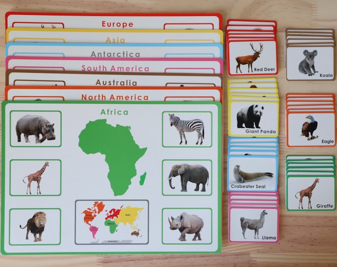 Montessori Animals and Continents Sorting Cards - Etsy