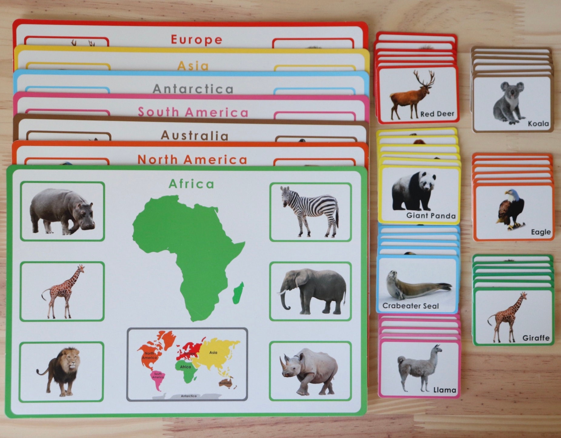 Montessori Animals and Continents Cards/montessori Flash Card/ - Etsy