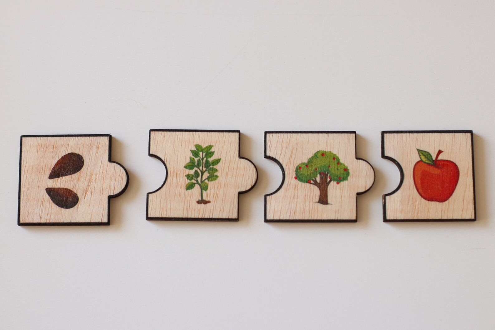 SET of 6 Wooden Life Cycle Puzzles - Etsy