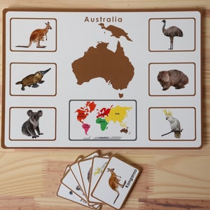 Montessori Animals and Continents Sorting Cards - Etsy