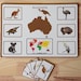 Montessori Animals and Continents Cards/montessori Flash Card/ Animals ...