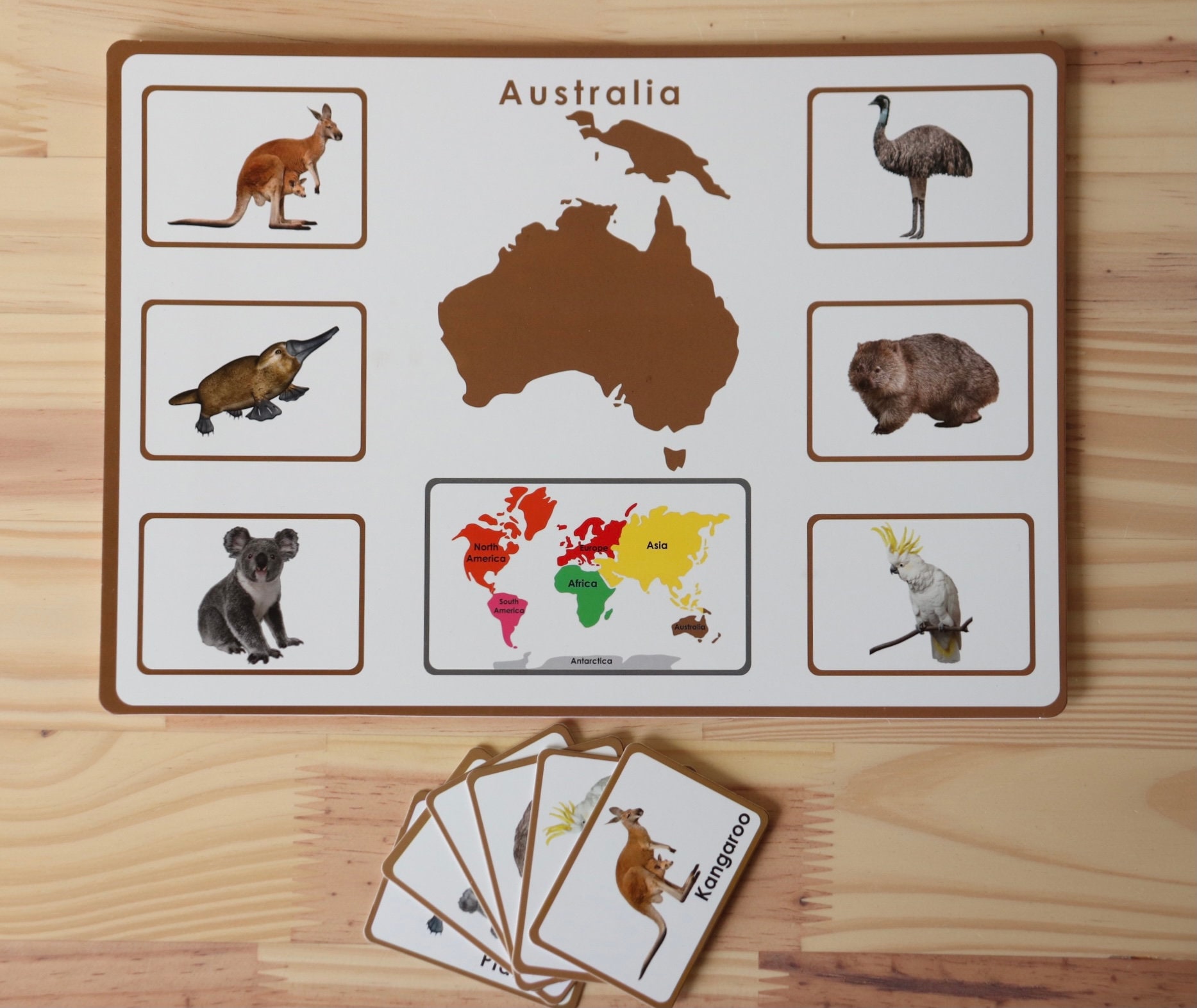 Montessori Animals and Continents Sorting Cards - Etsy