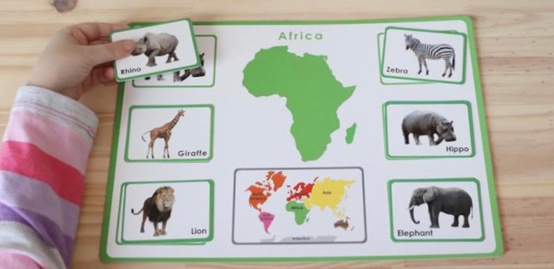 Montessori Animals and Continents Cards/montessori Flash Card/ - Etsy