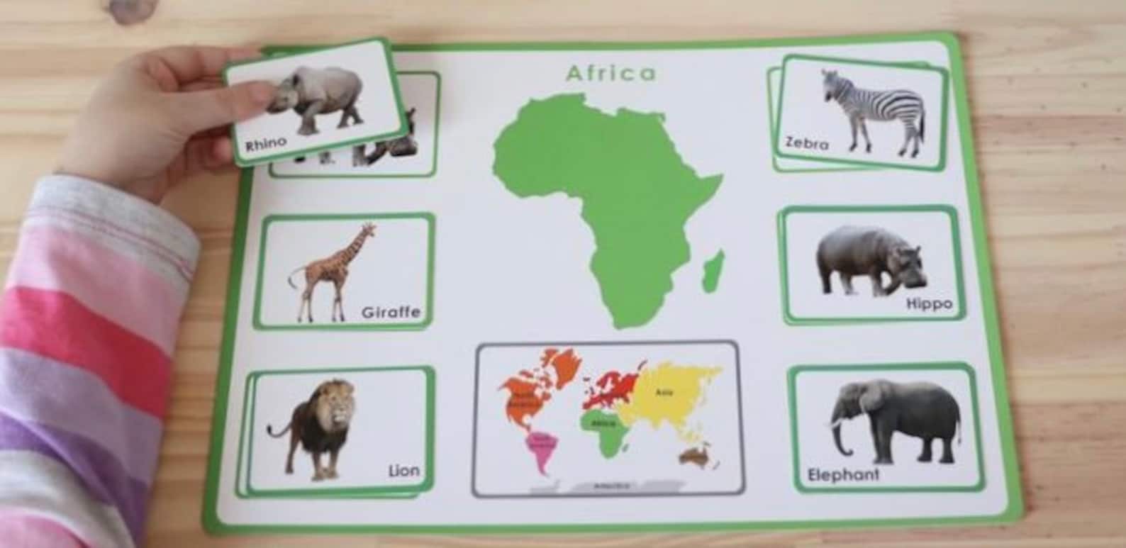 Montessori Animals and Continents Cards/montessori Flash Card/ - Etsy