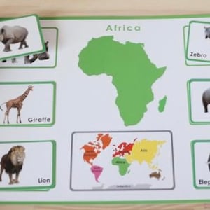 Montessori Animals and Continents Sorting Cards - Etsy