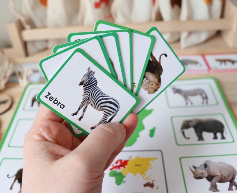 Montessori Animals and Continents Cards/montessori Flash Card/ - Etsy