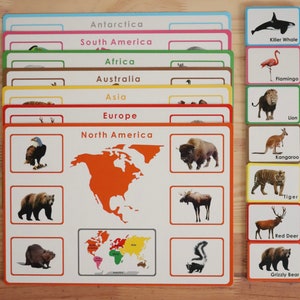 Montessori Animals and Continents Sorting Cards - Etsy