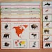 Montessori Animals and Continents Cards/montessori Flash Card/ Animals ...