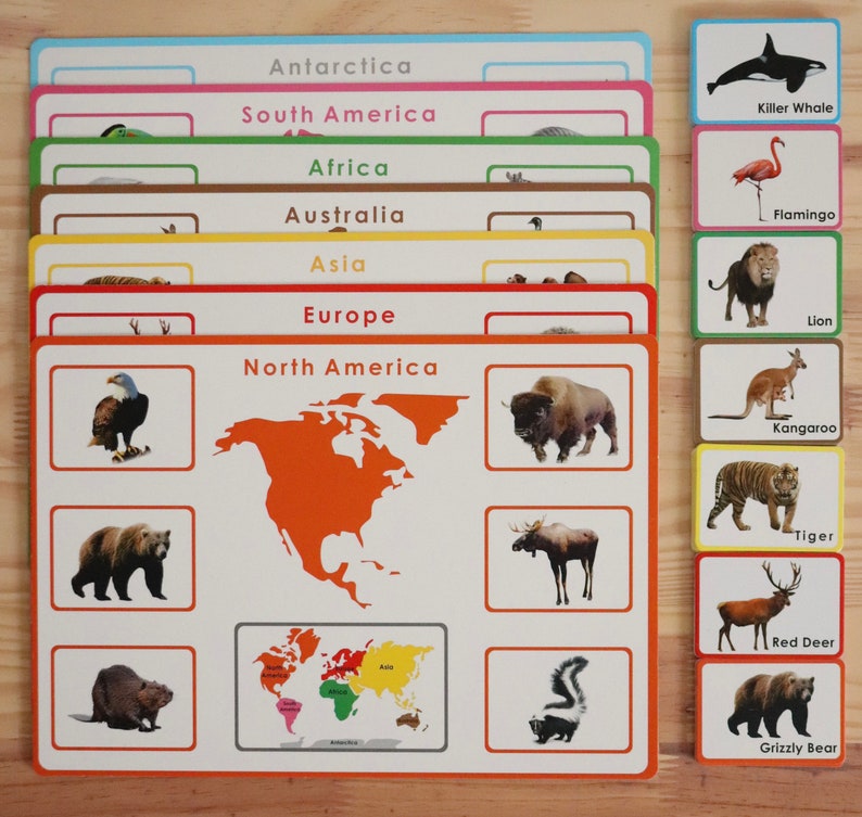 Montessori Animals and Continents Cards/montessori Flash Card/ - Etsy