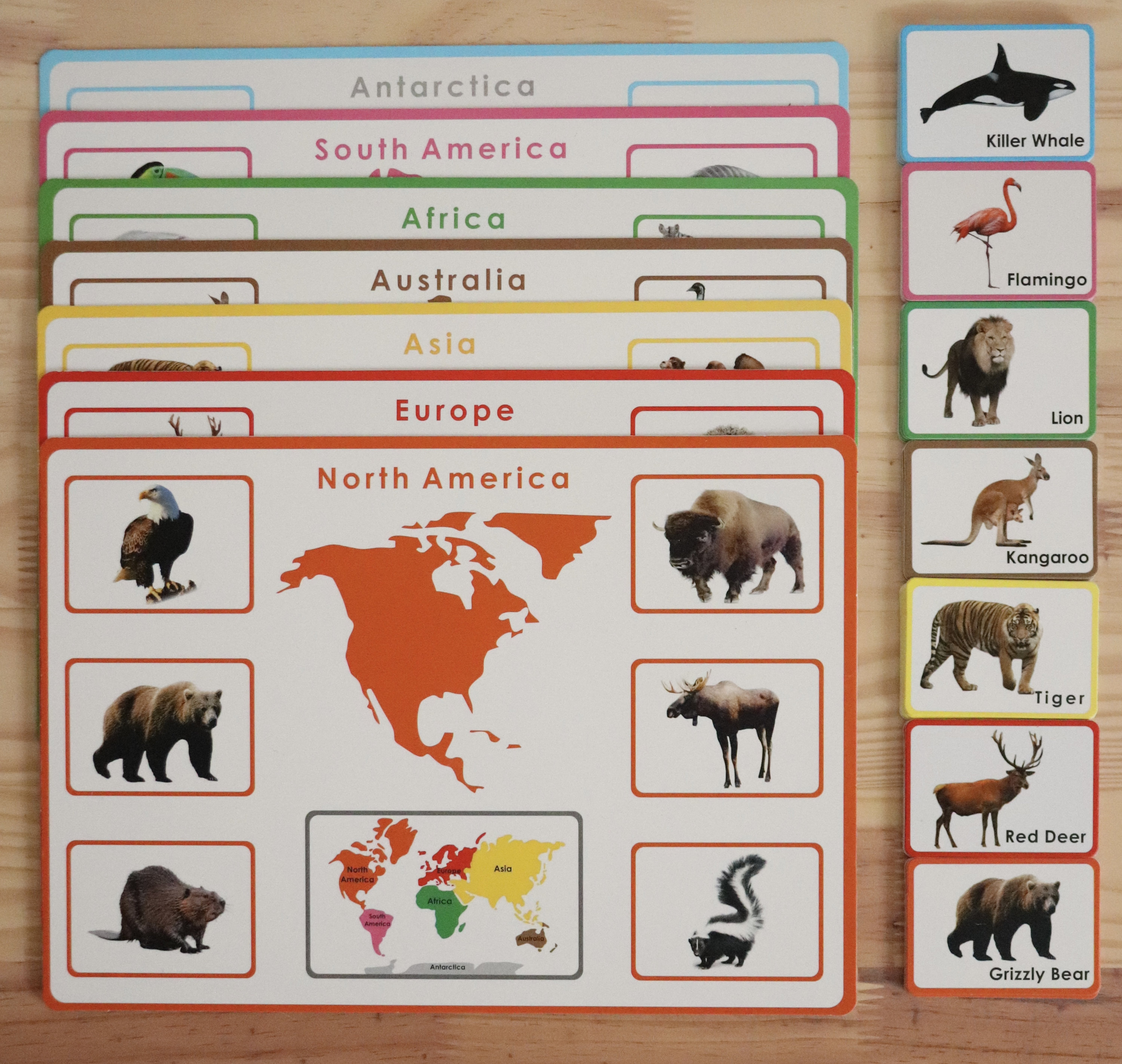 Montessori Animals and Continents Cards/montessori Flash Card/ - Etsy