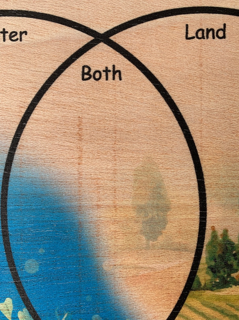 Venn Diagram Of Land And Water Animals Science Animals Plant