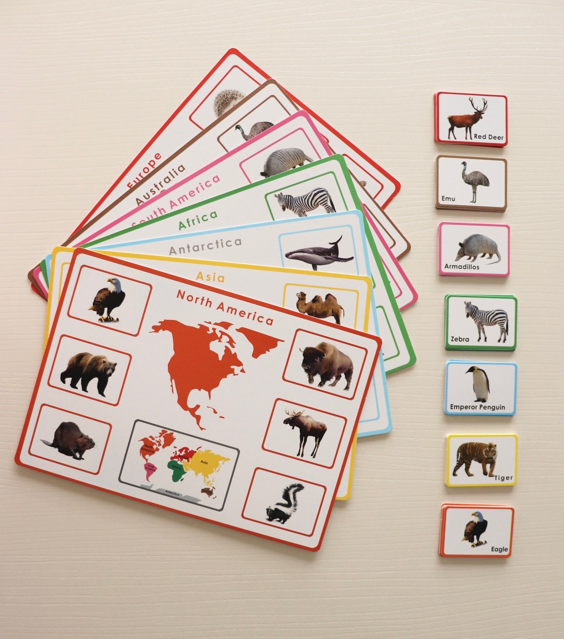 Montessori Animals and Continents Sorting Cards - Etsy
