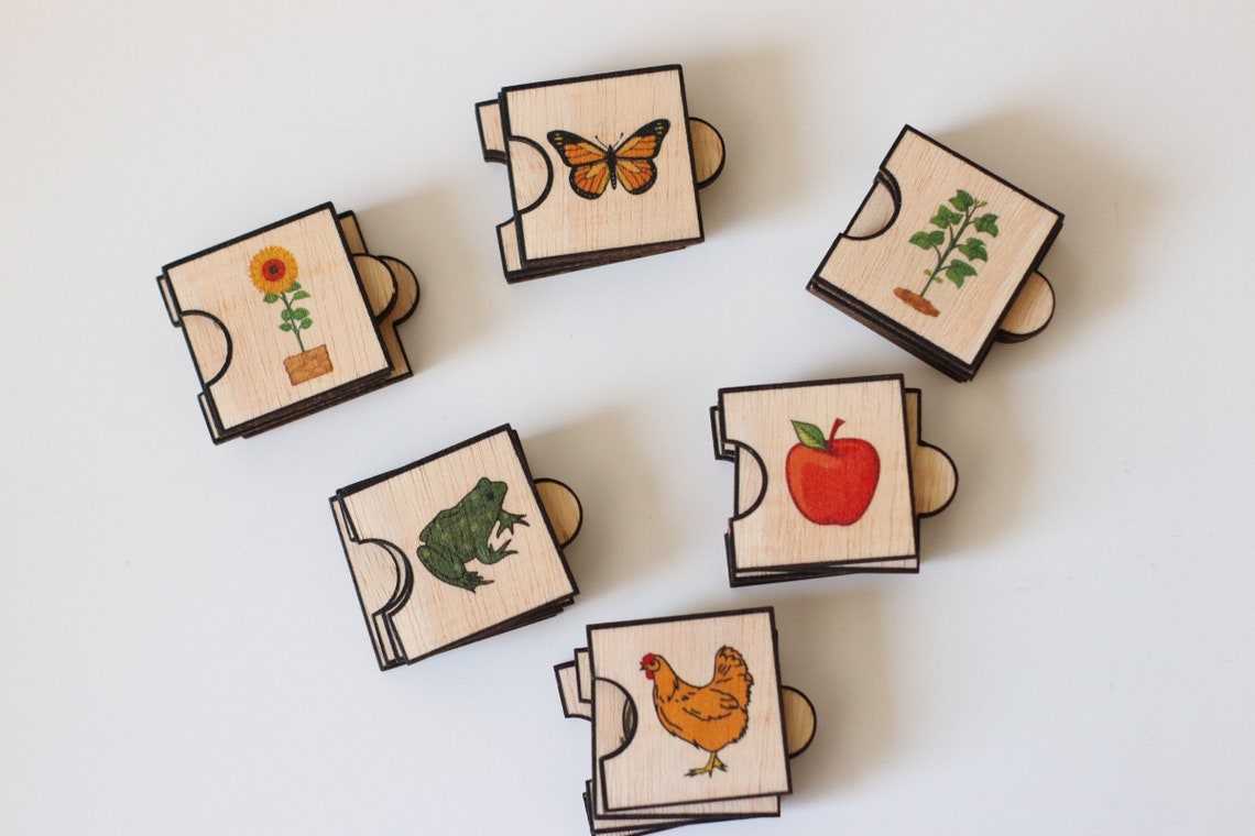 SET of 6 Wooden Life Cycle Puzzles - Etsy