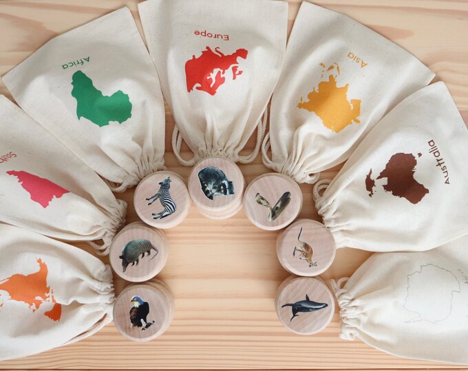Continents and Animals Learning Set / Montessori Continent Bags With ...
