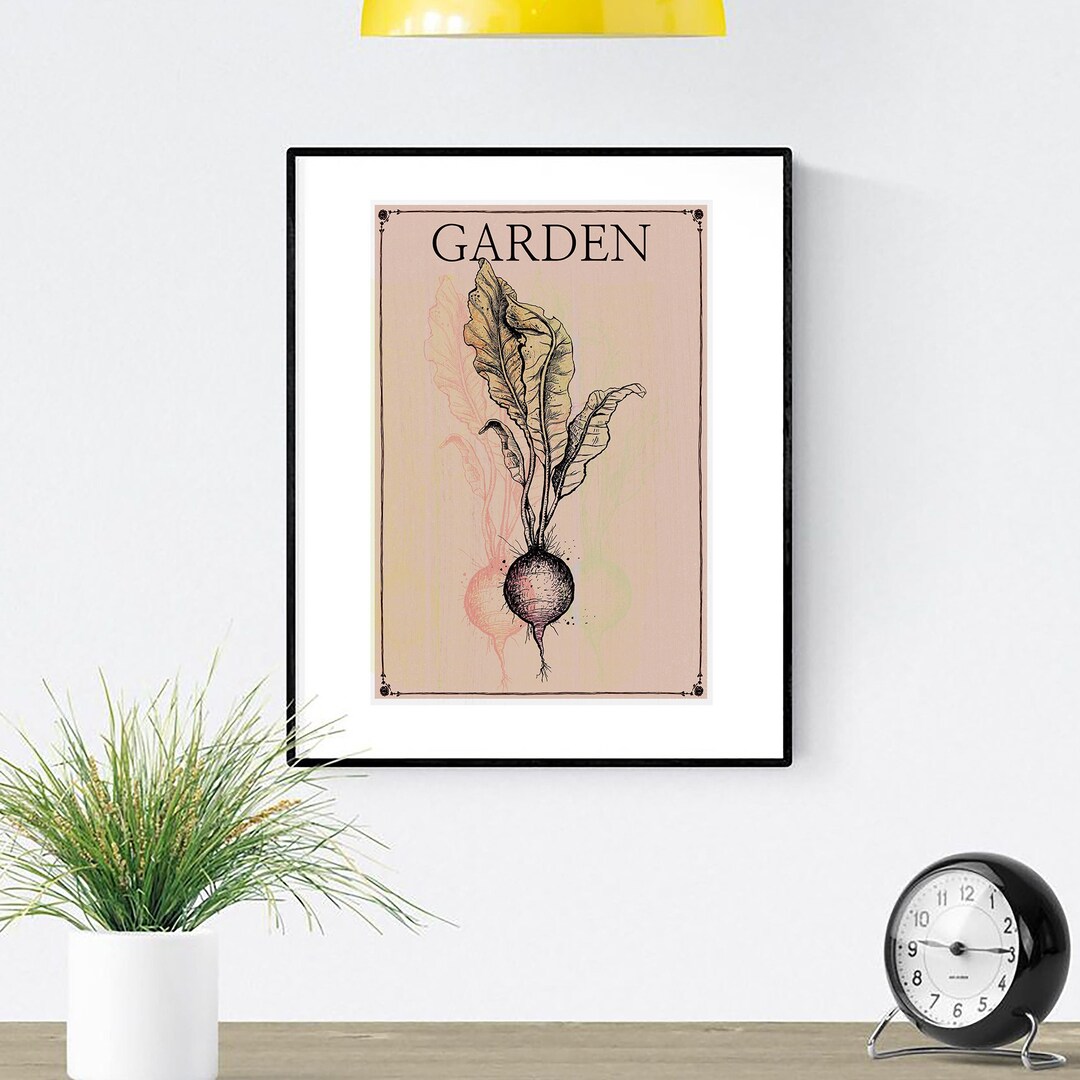 Radish Print/ Radish Illustration/ Garden Art/ Vintage Art/ Botanical ...