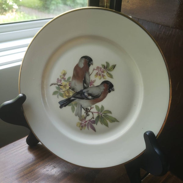 Antique Bird Plate - Etsy