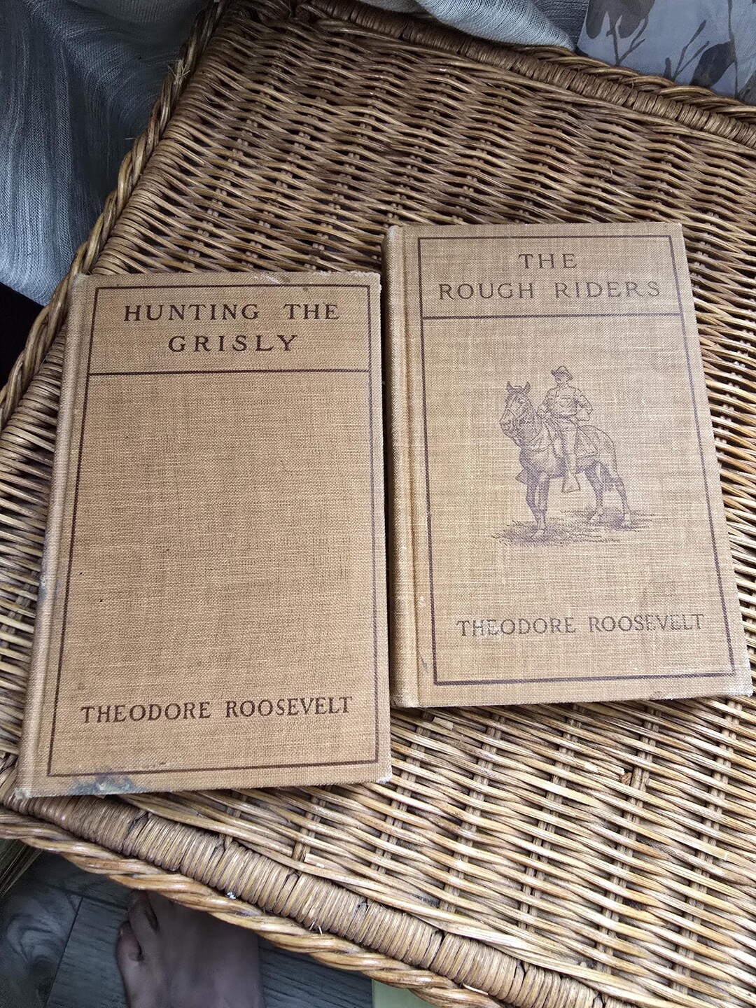 The Rough Riders - Theodore Roosevelt - 1899 - 1st Edition - Political ...