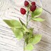 Artificial Raspberry Stem Red Berry Stem Faux Raspberry Branch Table ...
