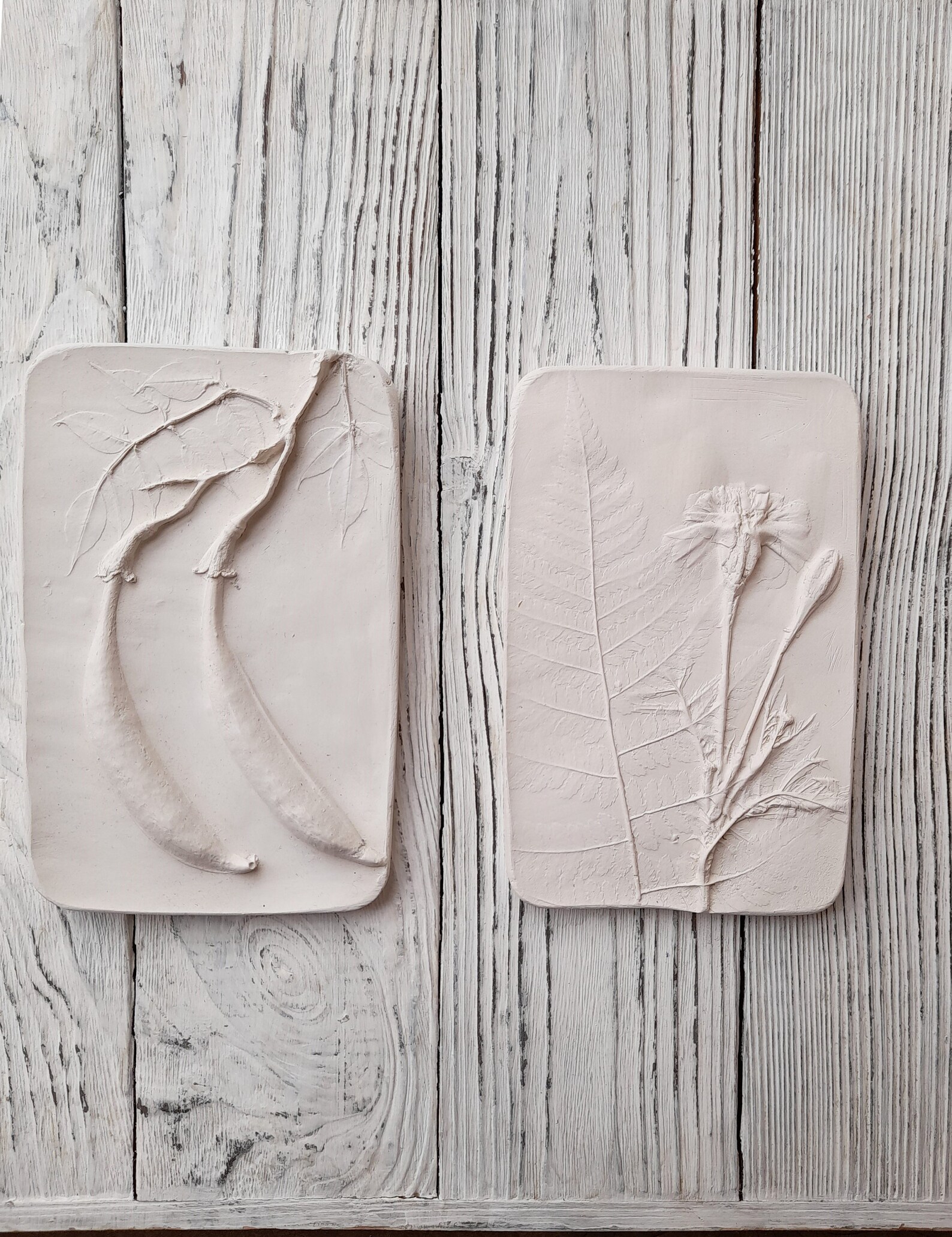 Marigold and Fern Botanical Bas-relief White Garden Flower - Etsy