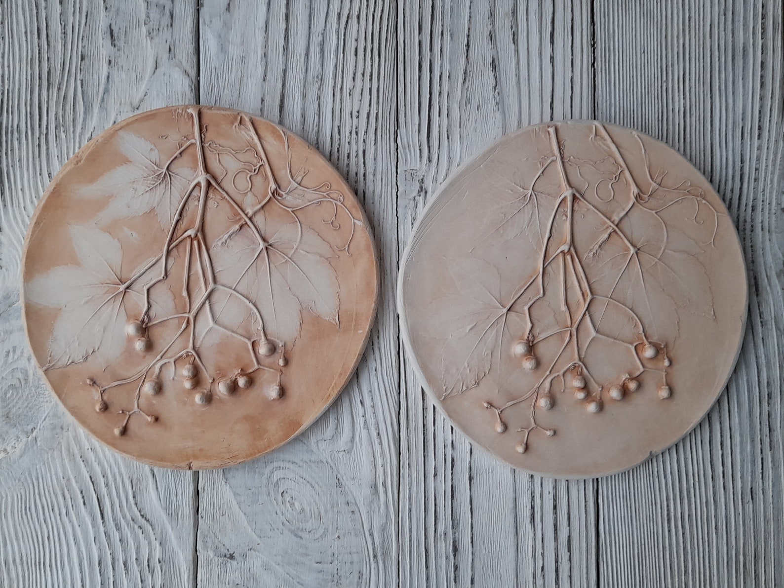 Maiden Grapes Botanical Bas-relief Wildflowers Round Plaster Cast ...
