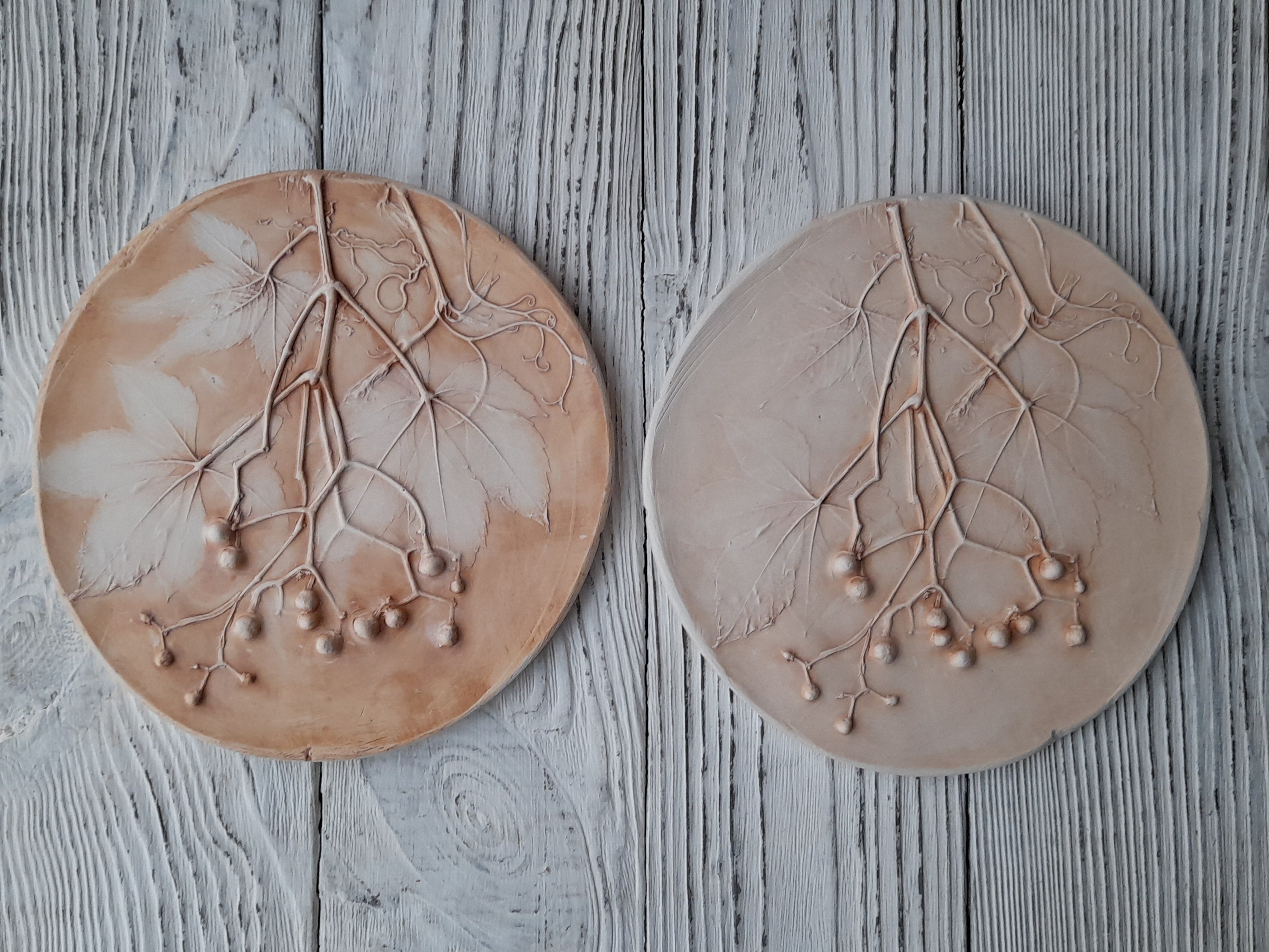 Maiden Grapes Botanical Bas-relief Wildflowers Round Plaster - Etsy