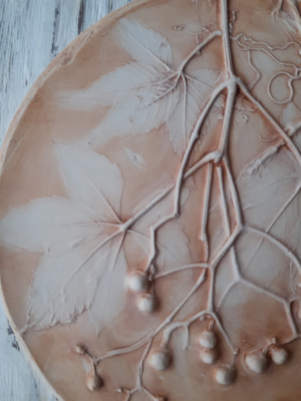 Maiden Grapes Botanical Bas-relief Wildflowers Round Plaster Cast ...