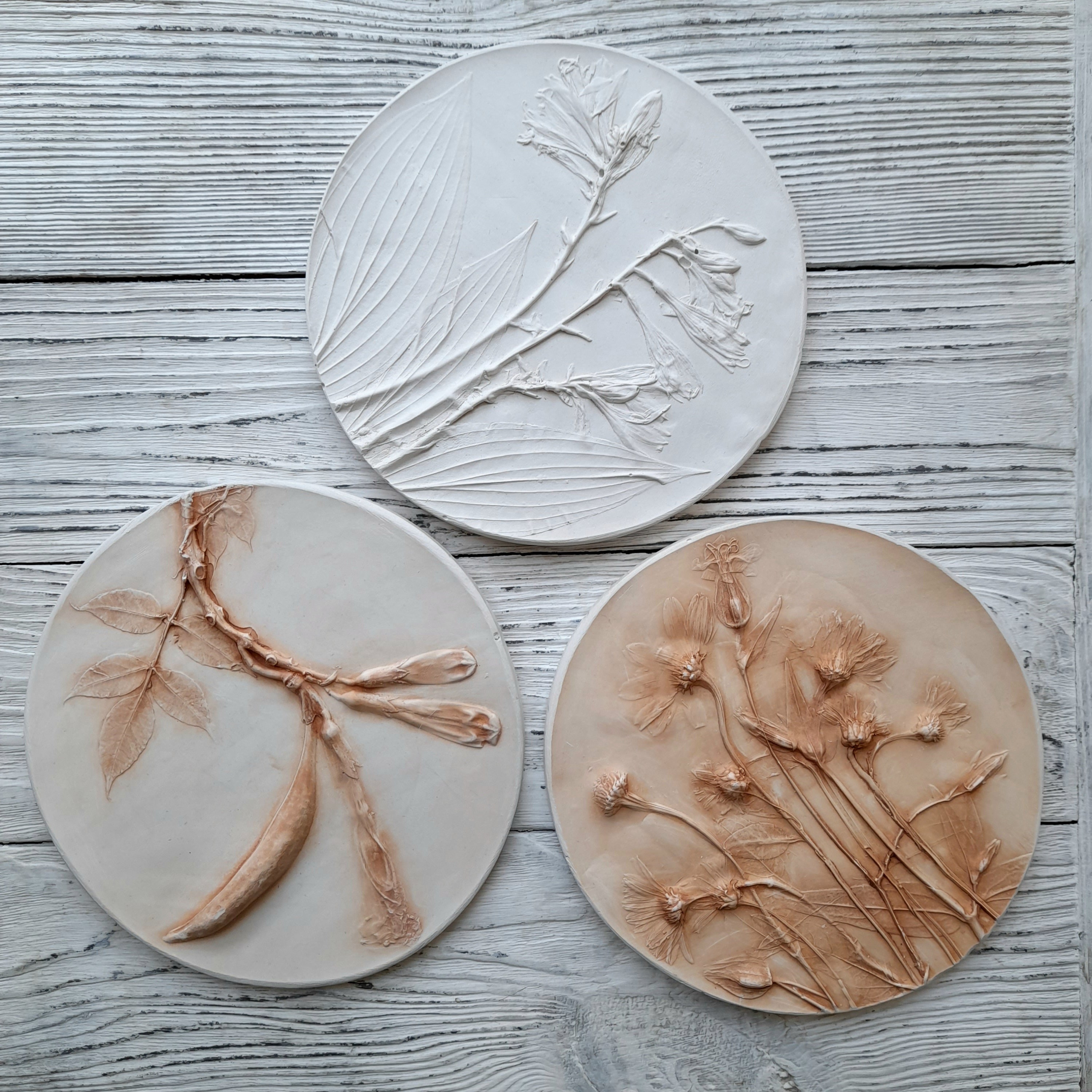 Hosta Flower Round Plaster Cast Wild Forest Botanical - Etsy