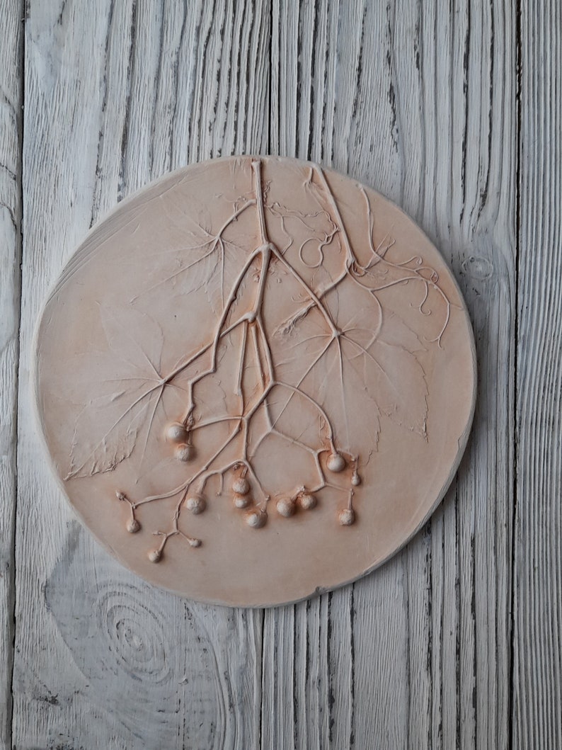 Maiden Grapes Botanical Bas-relief Wildflowers Round Plaster - Etsy