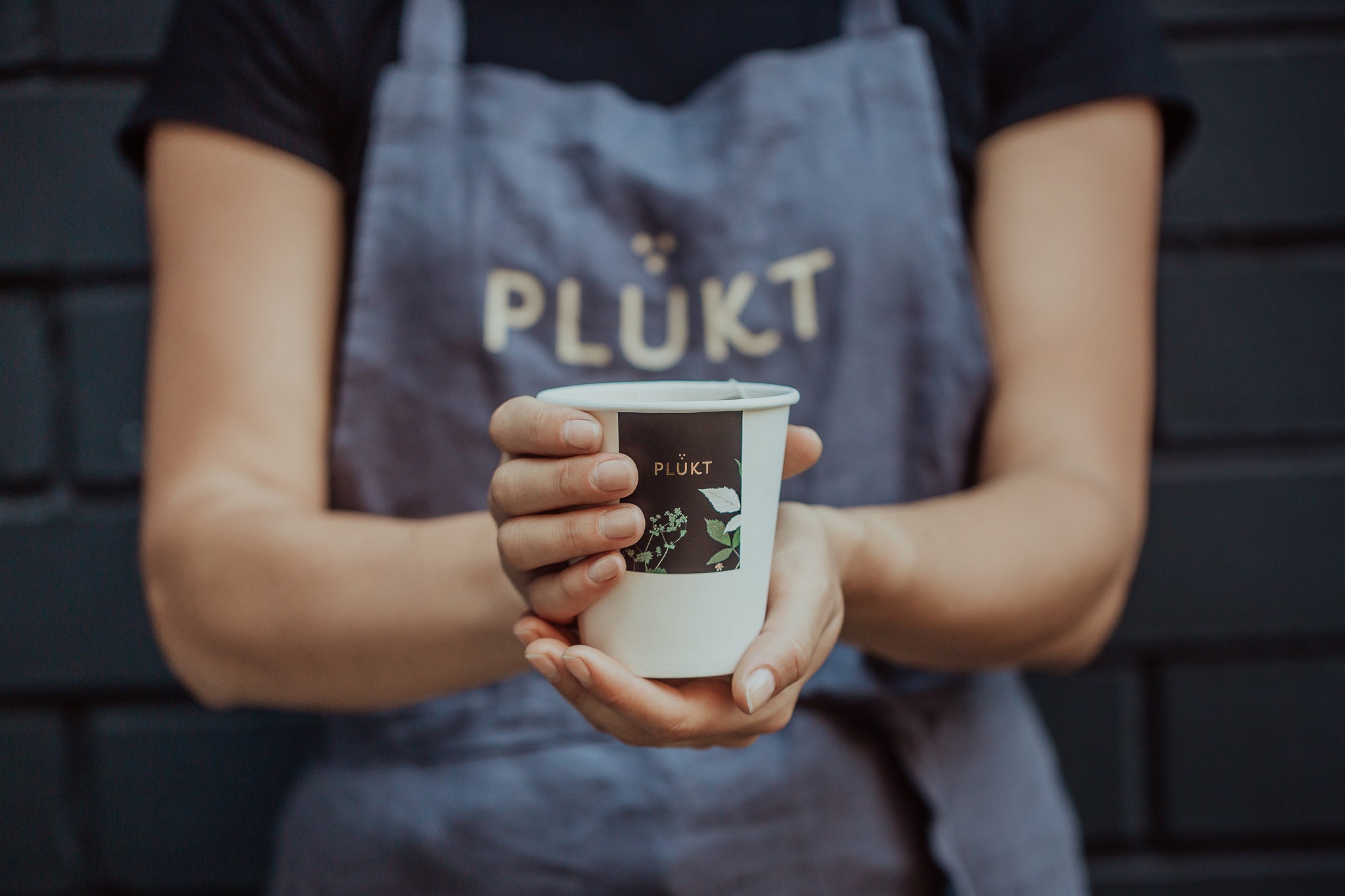 Cowslip Tea - Nordic Hand Picked, Loose Flowers, Sweet Taste, Primrose ...