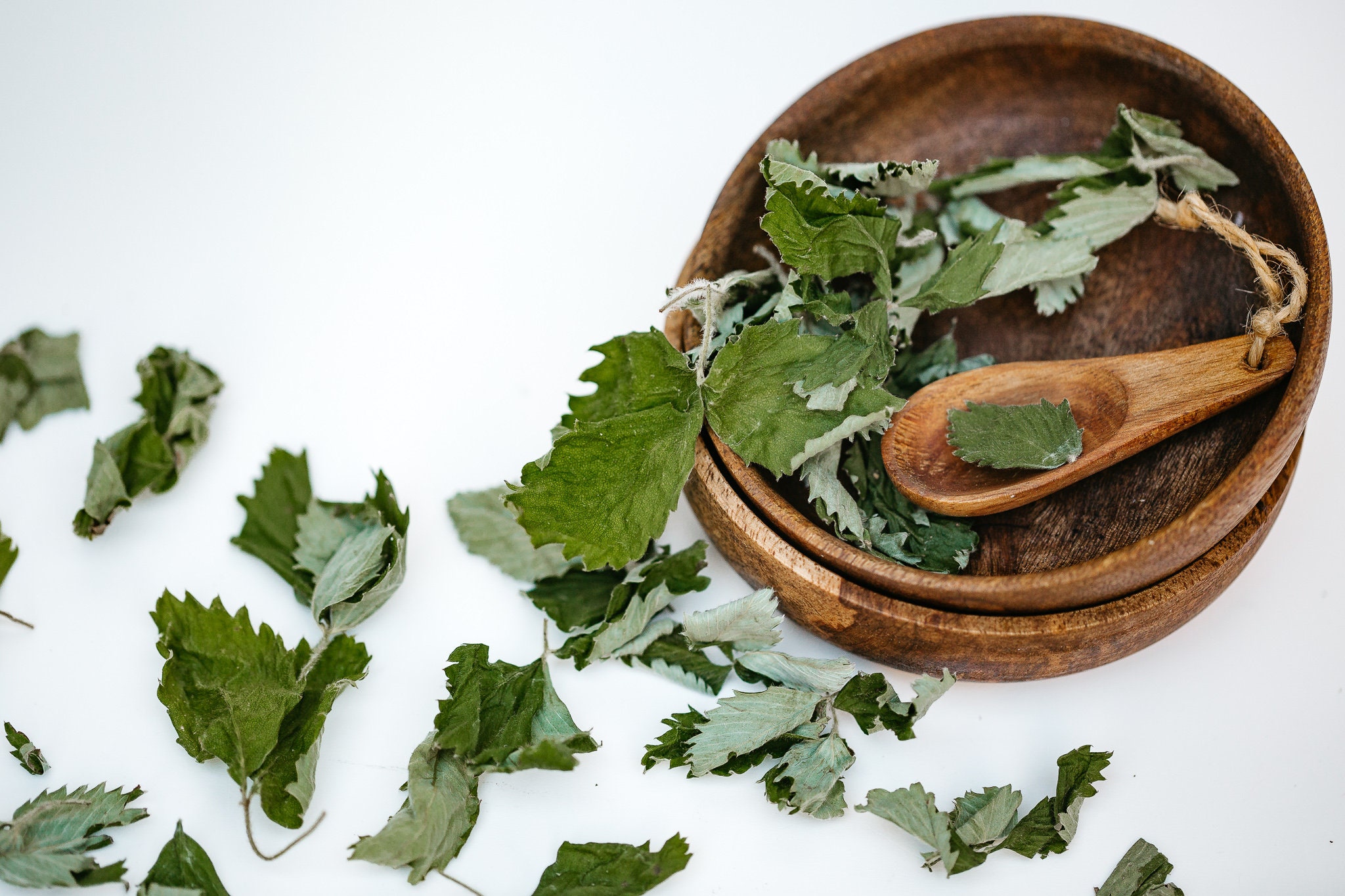 Wild Strawberry Tea Nordic Hand Picked, Loose Leaves, Sweet Taste ...
