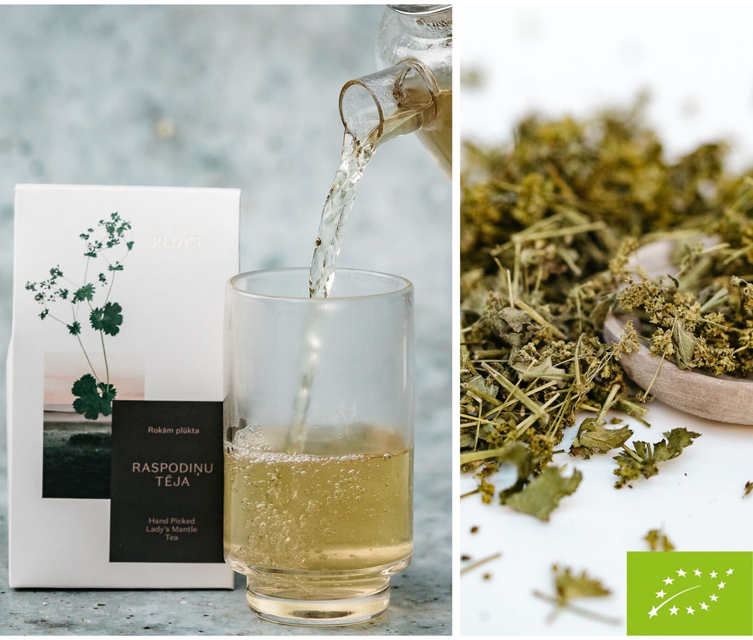 Lady's Mantle Tea - Hand Picked, Loose Tea, Brewed Tea, Midsummer Night ...