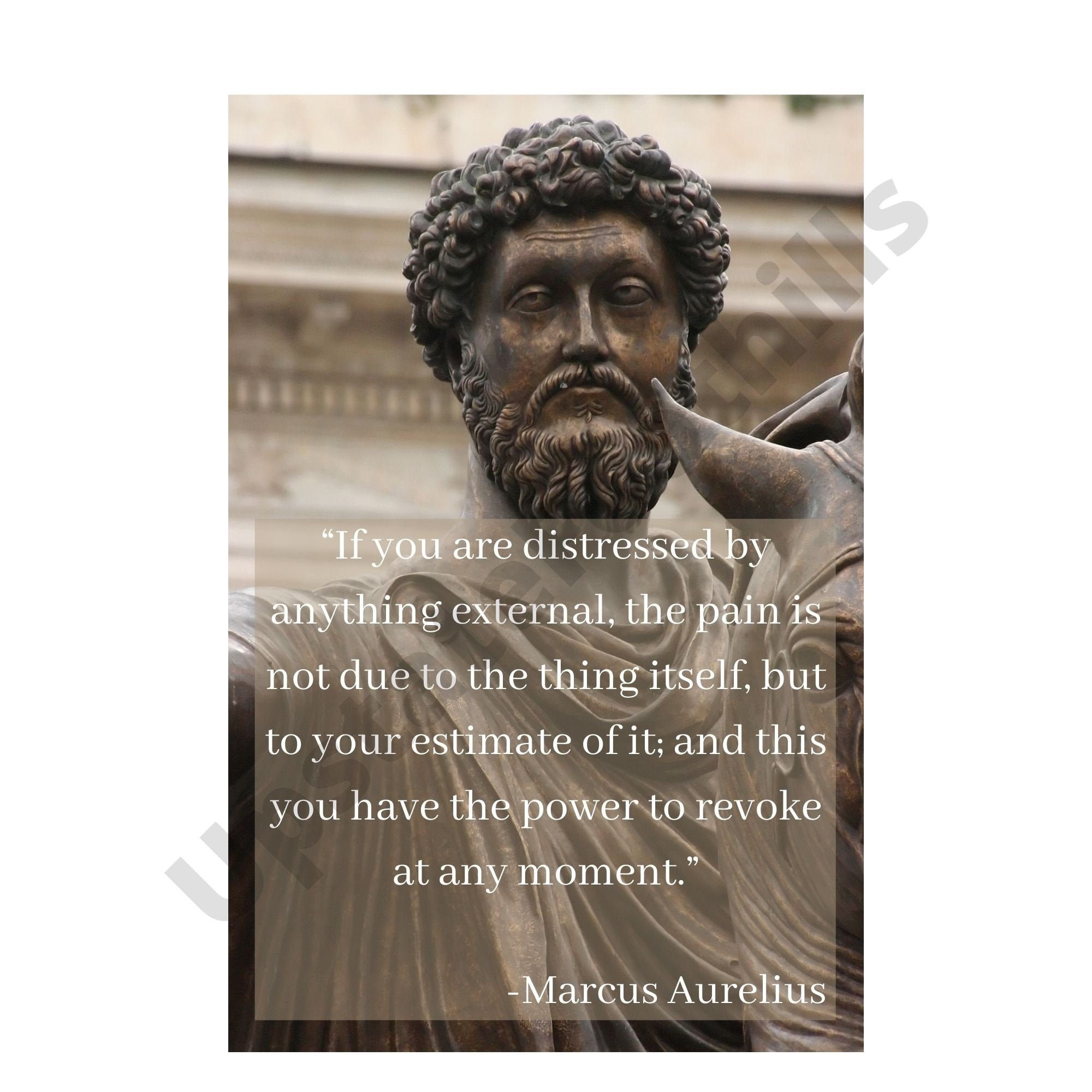 Marcus Aurelius Quote Poster - Digital Download - Pain Quote - Stoicism ...