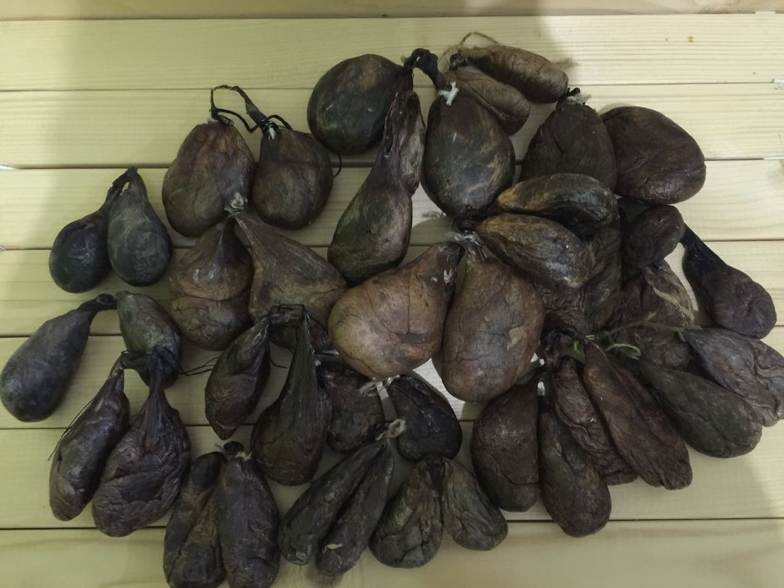 Castoreum Dry 10-540 gms Beaver Castor Glands Castor sacs | Etsy