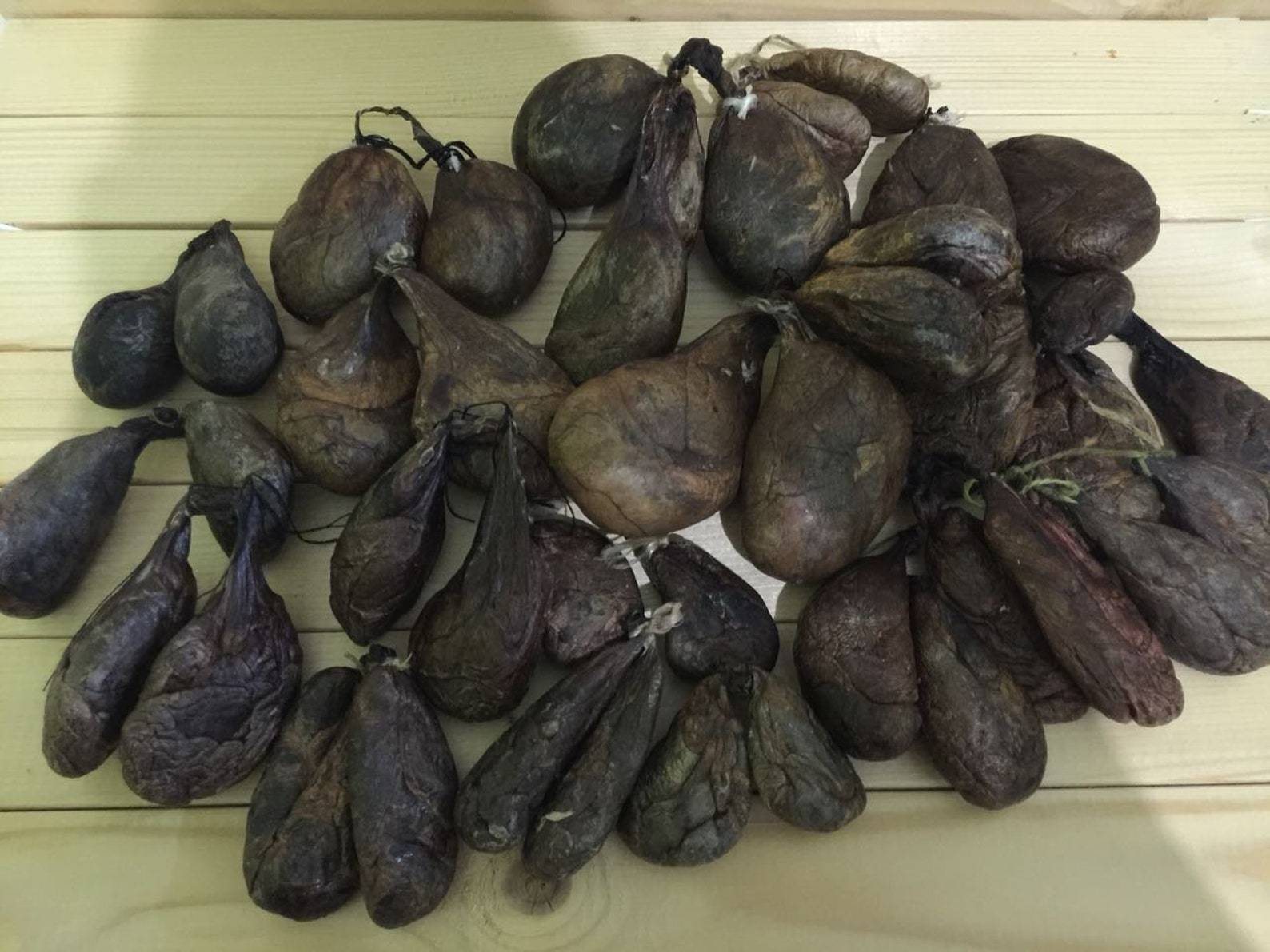 Castoreum Dry 10-540 gms Beaver Castor Glands Castor sacs | Etsy