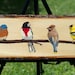 Birds on a Branch Painted Pyrography, Natural Live Edge Wood, Wood ...