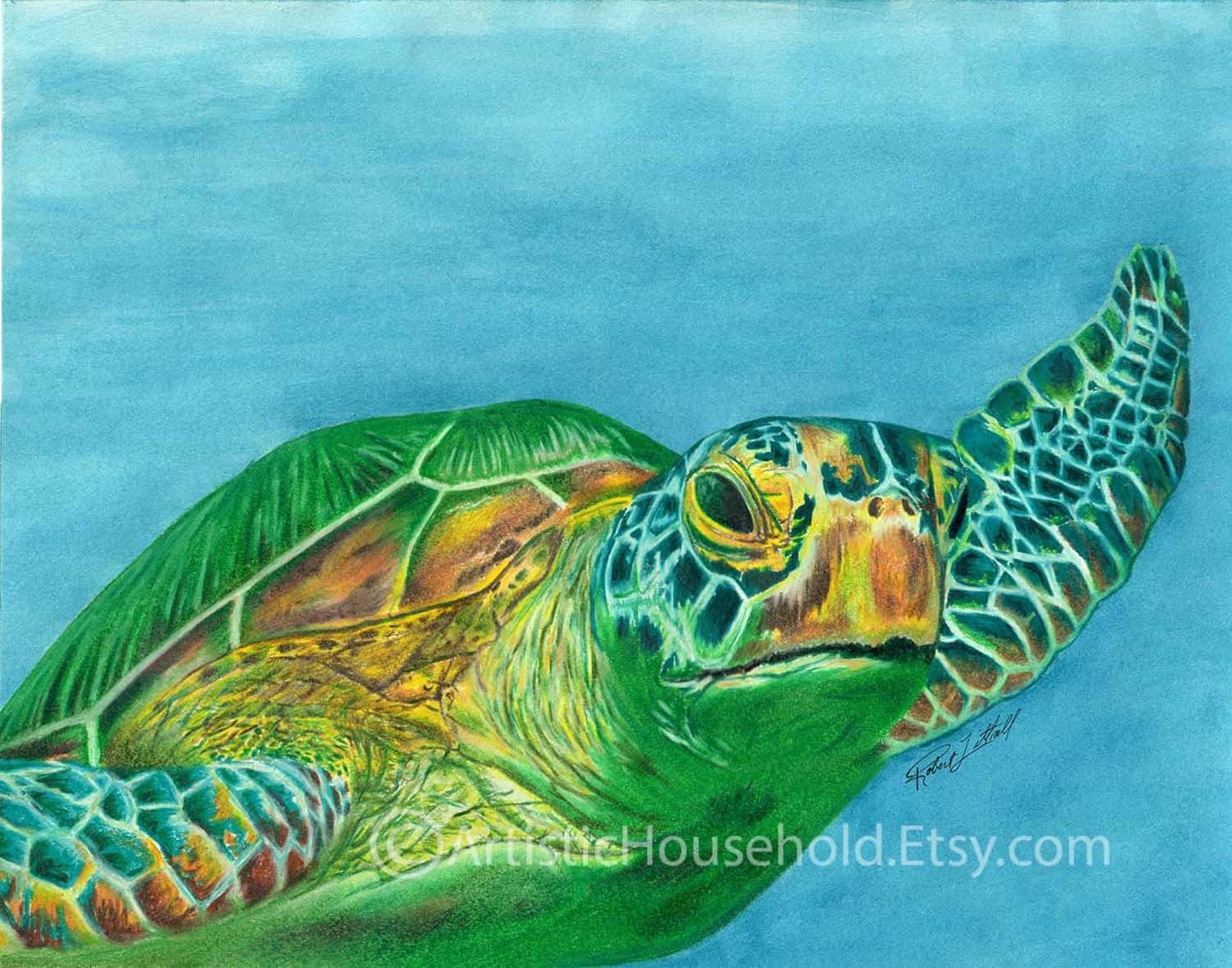 Sea Turtle Pencil Drawing