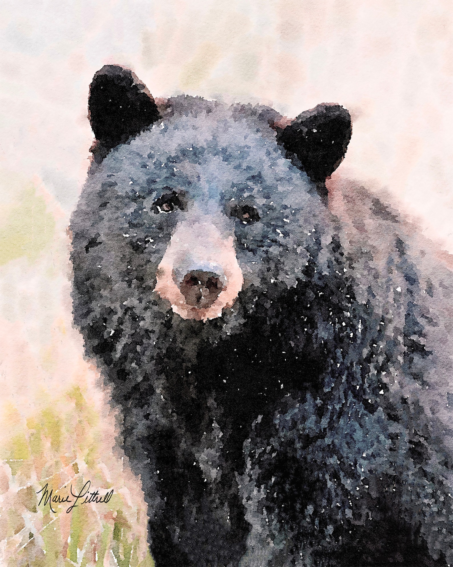 Watercolor Bear Painting Black Bear Watercolor Print Bear - Etsy