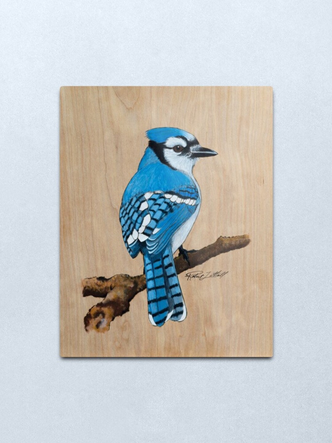 Blue Jay Painting PRINT, Blue Jay Painted -original Art, Painted ...