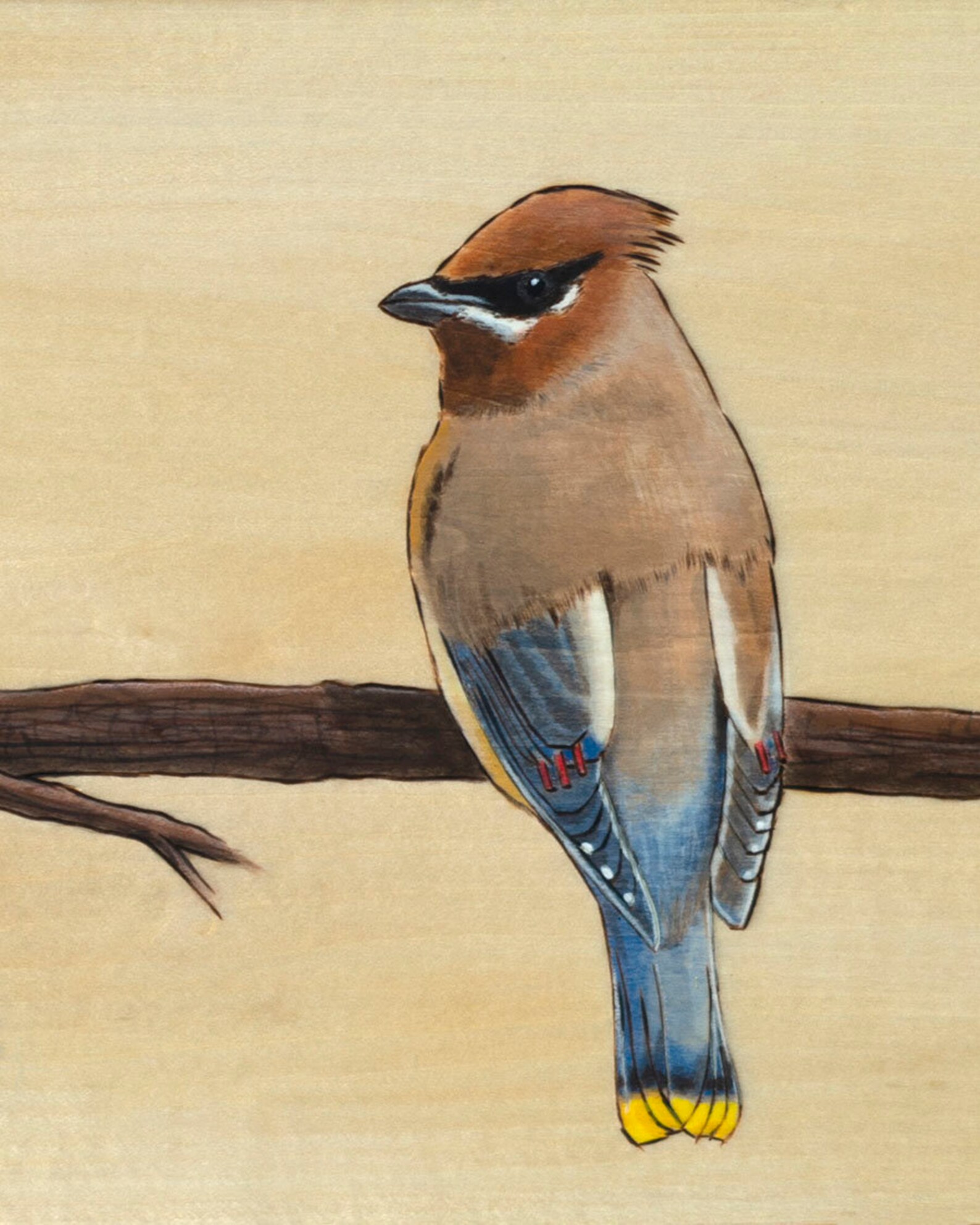 Birds on a Branch Painted Pyrography, Natural Live Edge Wood, Wood ...