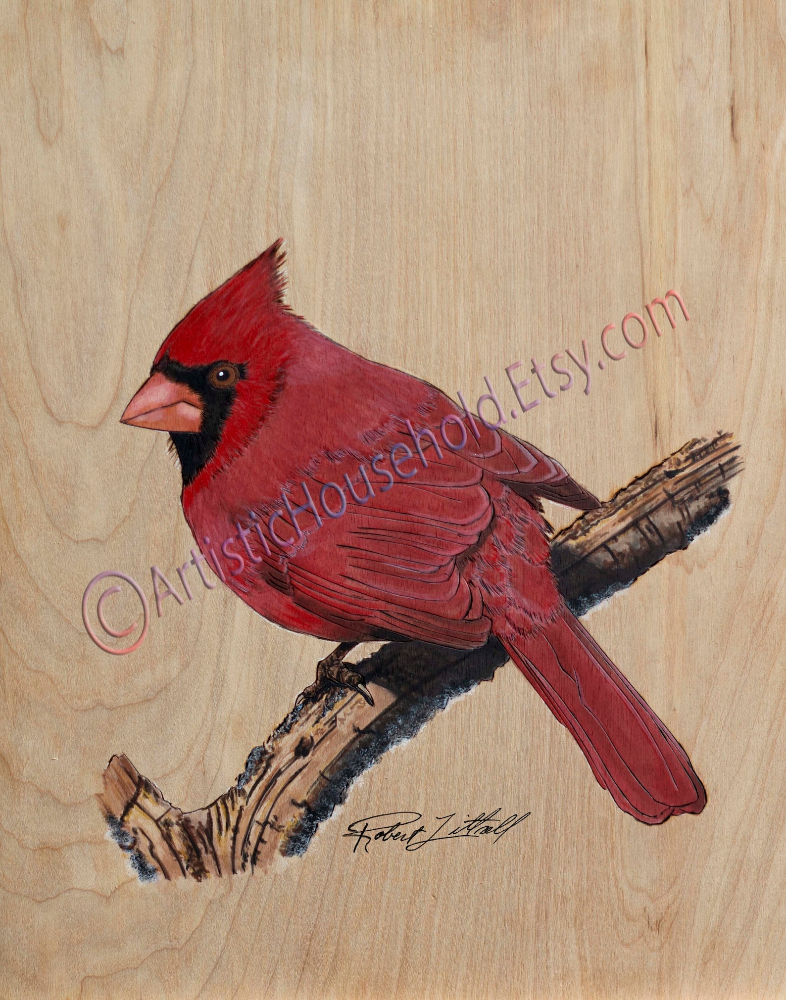 Original Cardinal Painting, Cardinal Pyrography, Painted Wood Burning ...