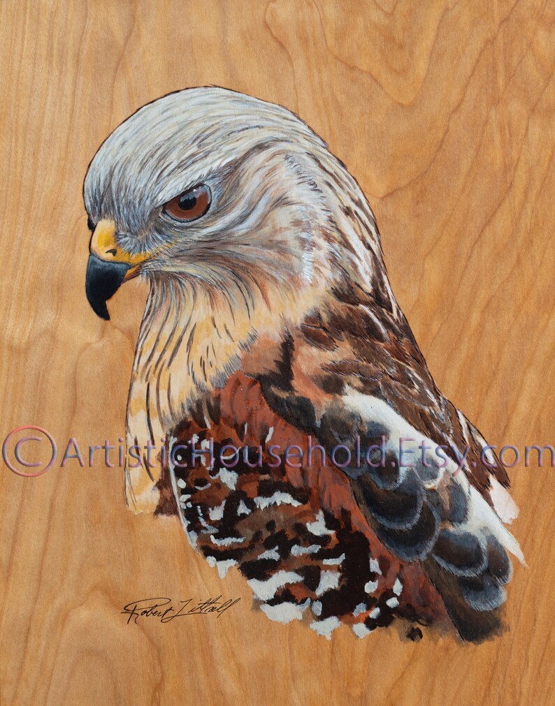 Hawk Painting Wood Burning Red-shouldered Hawk Painted on | Etsy