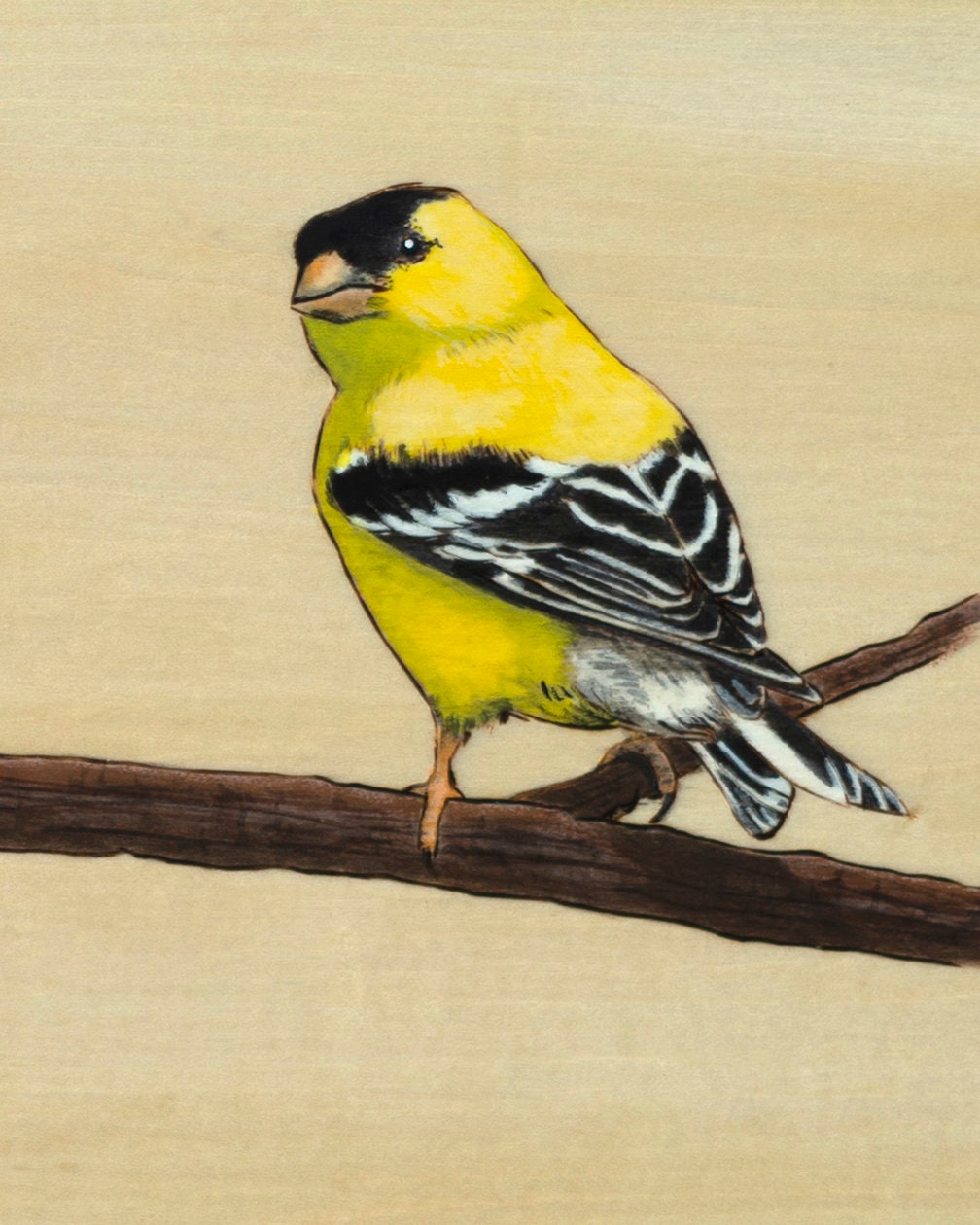 Birds on a Branch Painted Pyrography, Natural Live Edge Wood, Wood ...