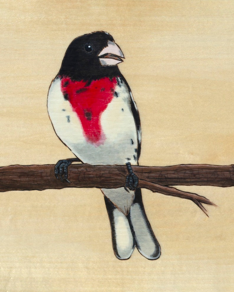 Birds on a Branch Painted Pyrography, Natural Live Edge Wood, Wood ...